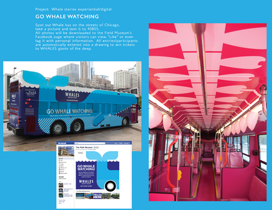 DDB Advertising – kate bateman design